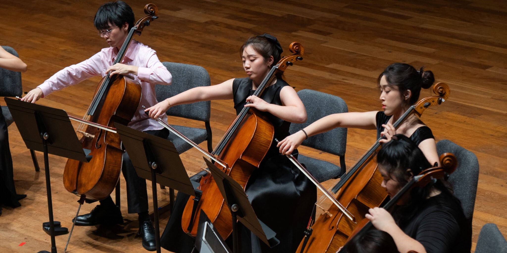 Cellissimo - YST Conservatory